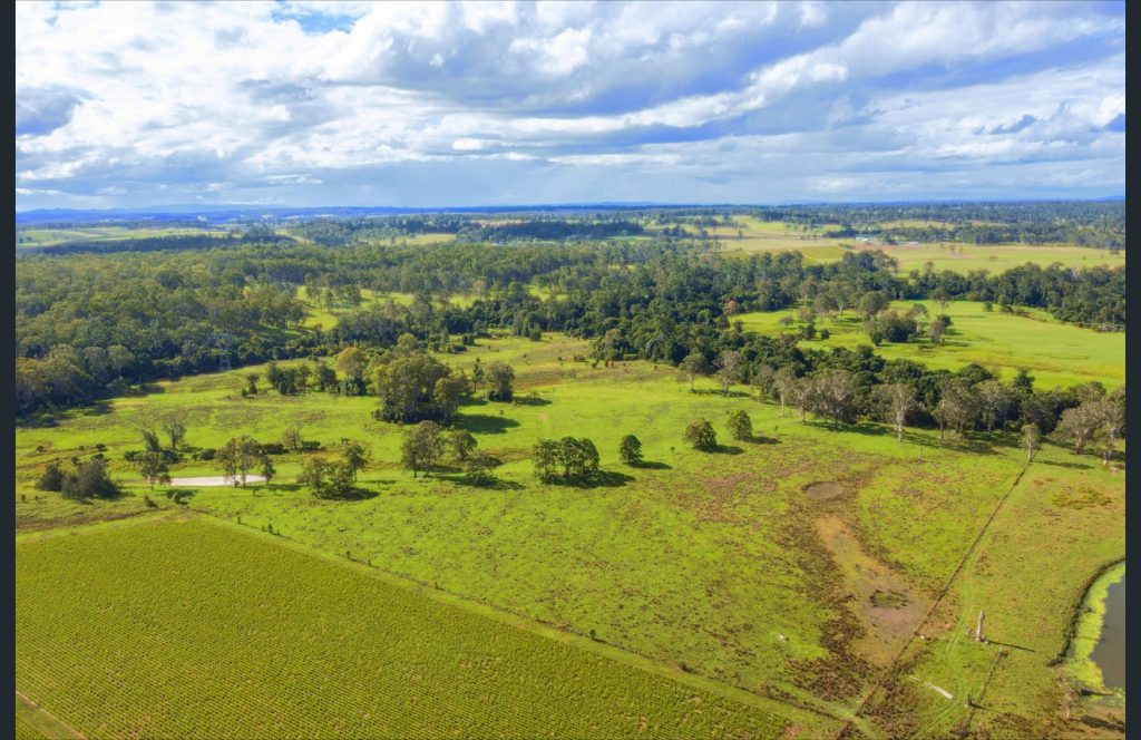 6 Black Swan Drive, Coutts Crossing | Farrell McCrohon