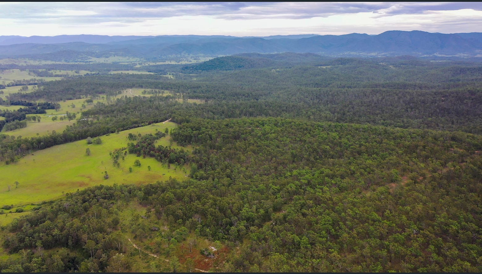 MORGANS ROAD, PULGANBAR 'MICKS' | Farrell McCrohon